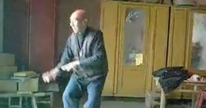 The Tai Chi of Moy Lin Shin